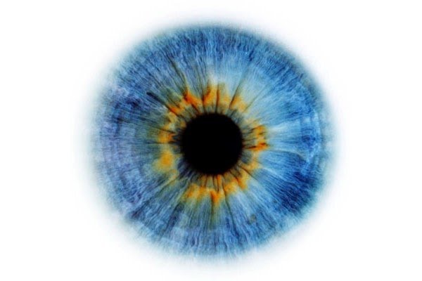 CLILstore unit 3639: The sense of sight. How does it work?