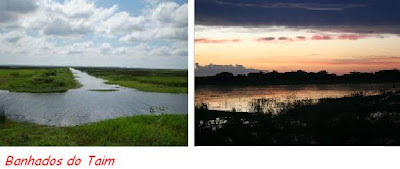 Portal do Meio Ambiente - Pampas Gaúcho