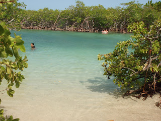 Puerto Rico: Mas Isla de Gilligan