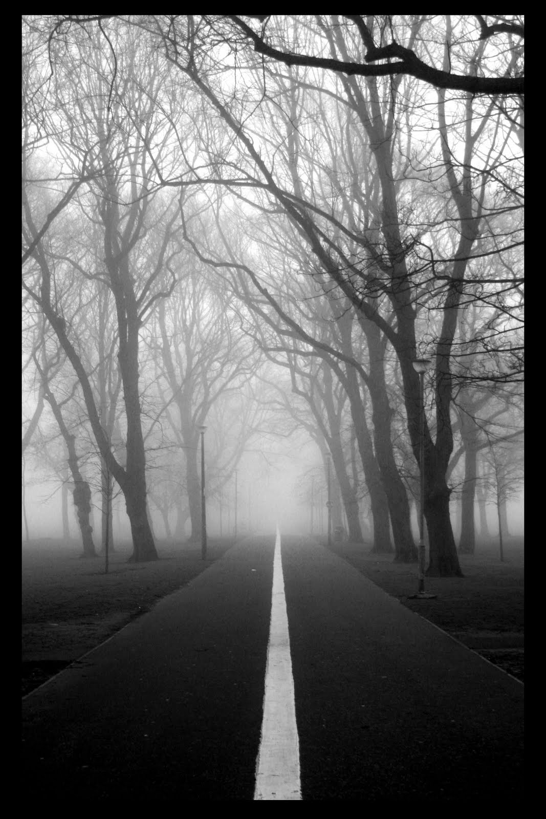 Six Days from Suwon: A Foggy Day on the Meadows