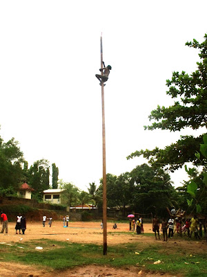 philipveerasingam: Climbing the 'greasy pole', Avissawella, Sri Lanka.