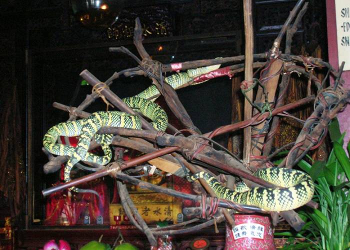 Snake Temple - Photos Actress Models