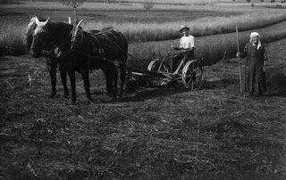 steini-Klasse: Illnau früher: Interview mit Kurt Rüegg