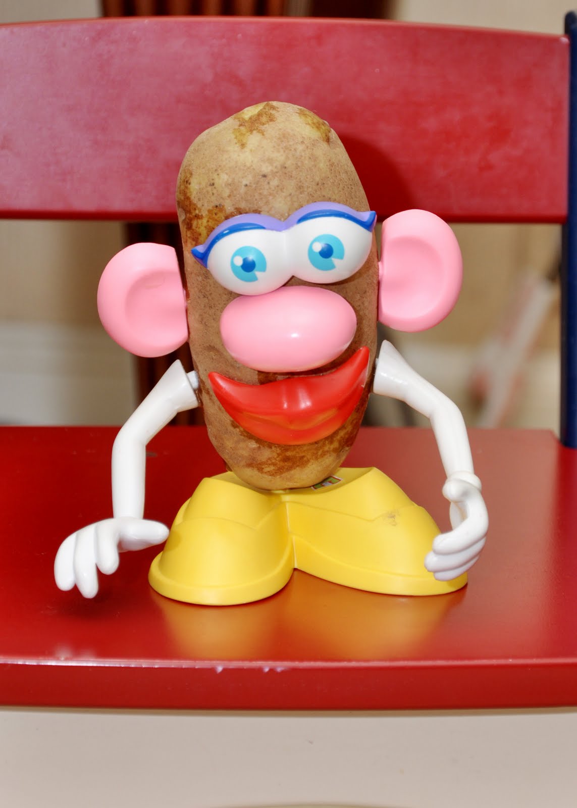 This Farm Family's Life: The Real Mrs. Potato Head...