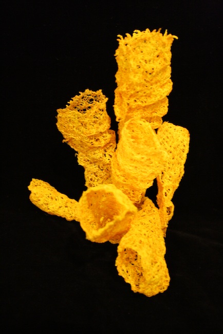 Potomac Fiber Arts Gallery: Hyperbolic Crochet Coral Reef