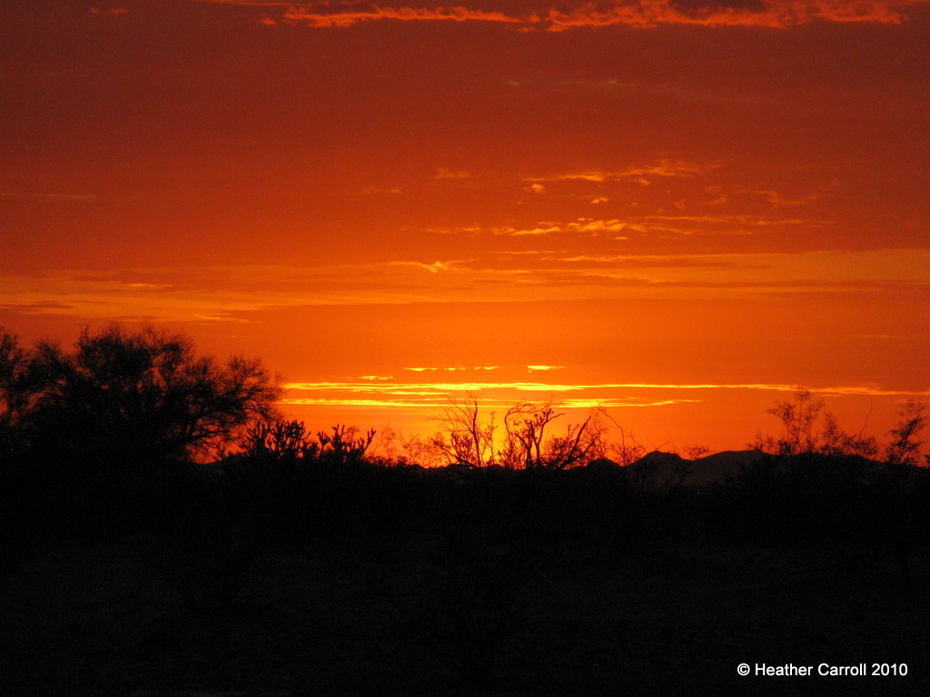 Heather's Daily Photos: Sunset in the Desert