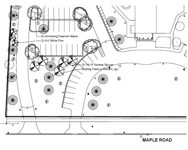 Sacred Space: Tree Removal and Landscape Plan