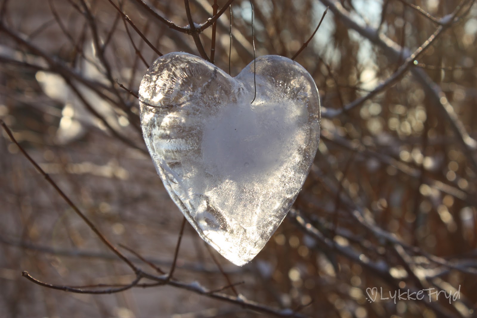 Lykkefryd: {Gjør det selv} pynt busker & trær med vakre isformer