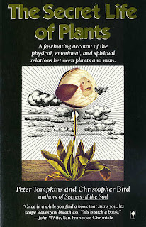 Spiritual Village: [Video] Cleve Backster - Plants Can Sense Human ...