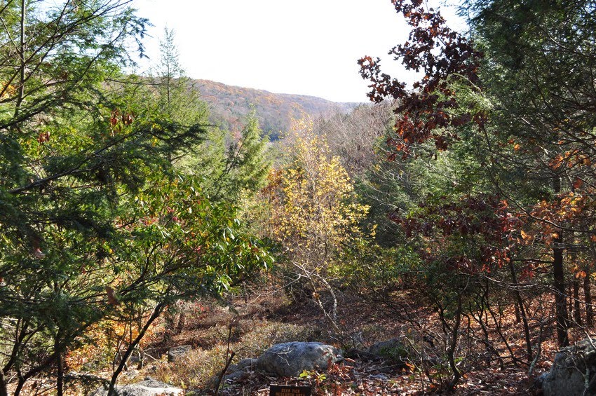 Harriman Hiker: Harriman State Park and Beyond: Mianus River Gorge Preserve