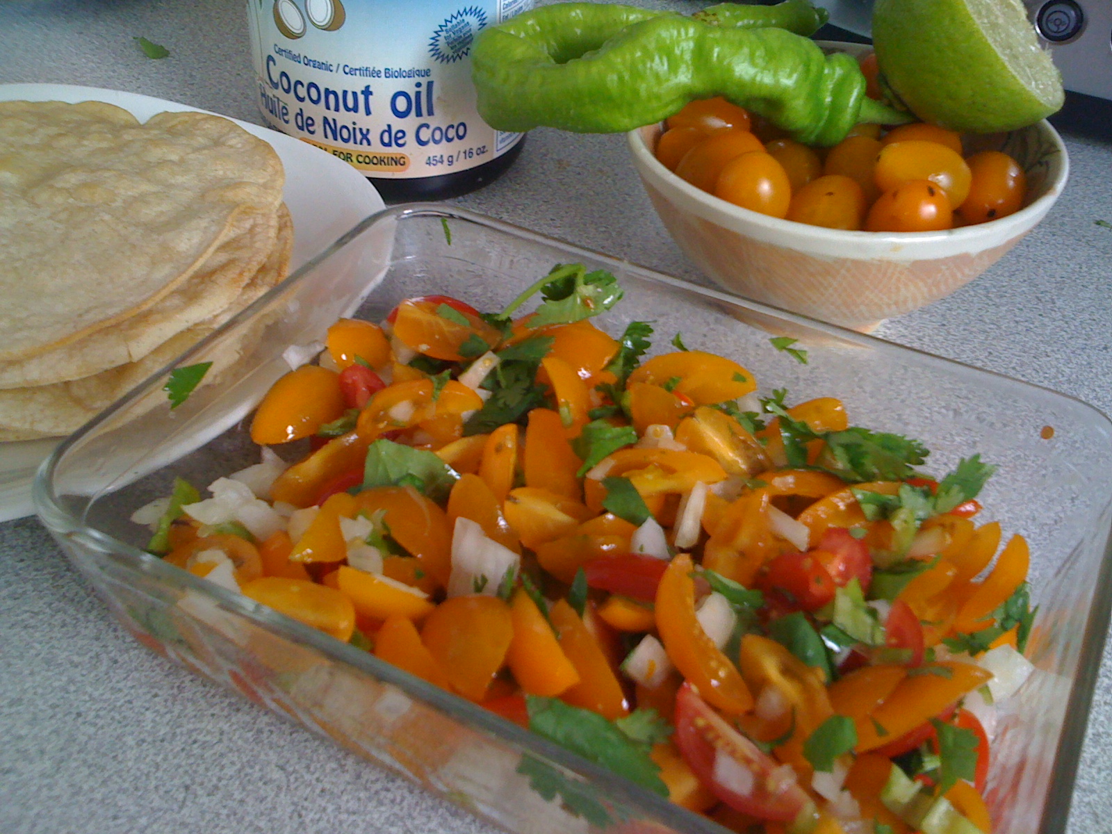 Collective Culinary Creations: Ode to Mexico! Salsa Fresco and Tequila ...