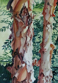 GENIE EVEN: "Birch Dishabille"