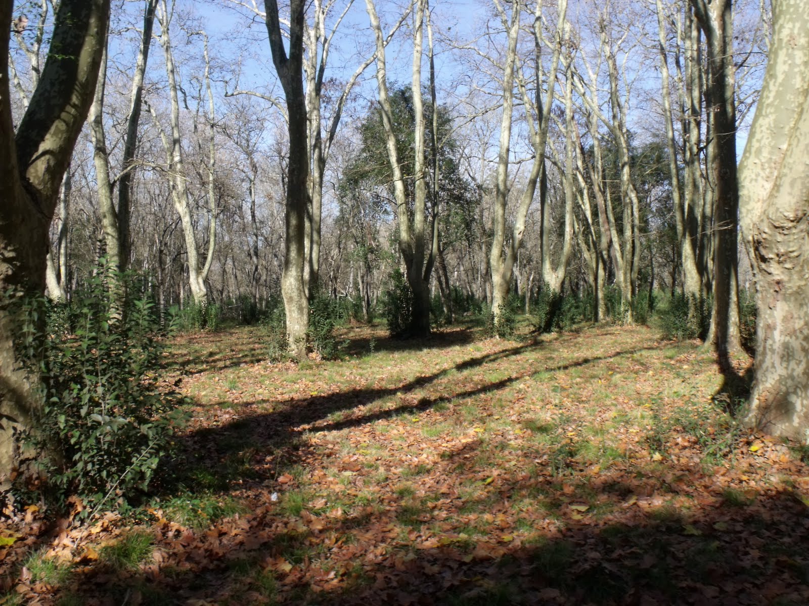 Claypole: Un paseo por el parque Pereyra Iraola en otoño