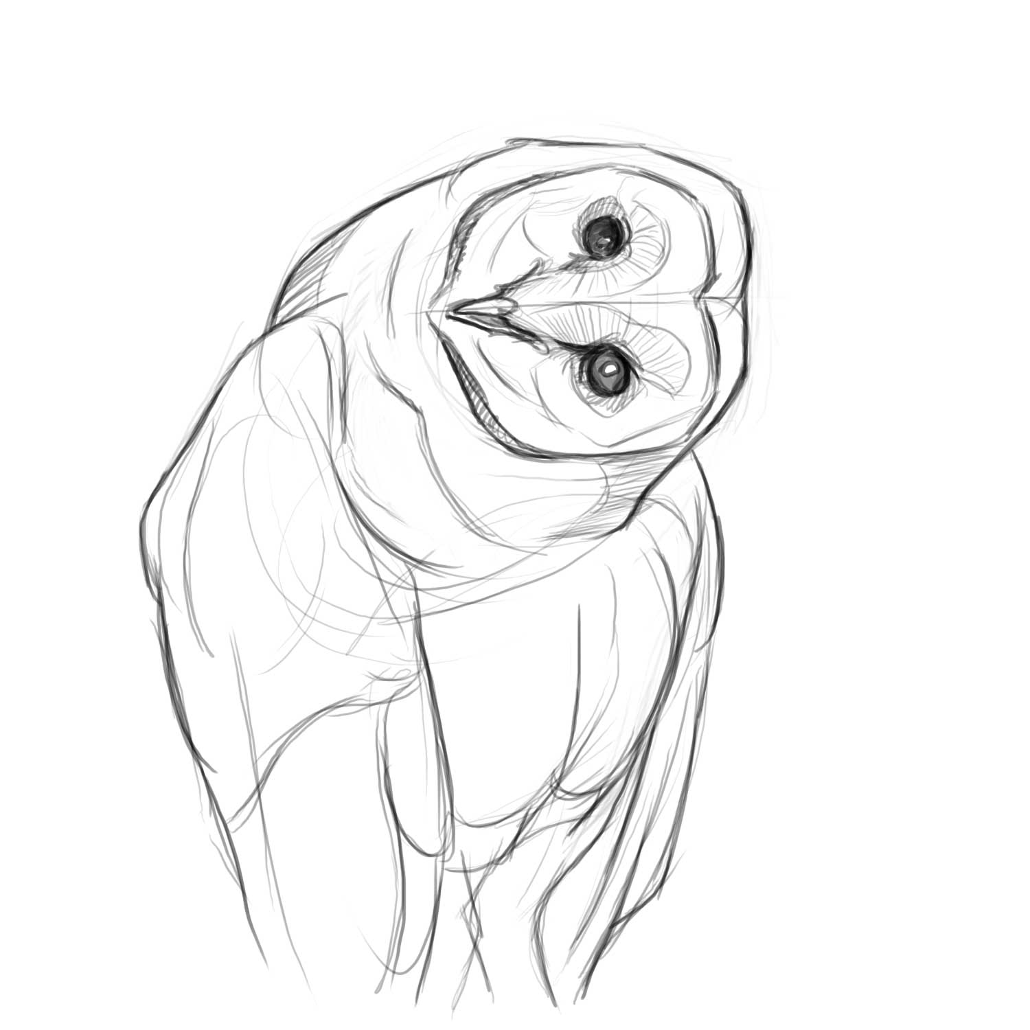 Labyrinth: Tyto Alba