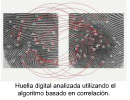 Reconocimiento de Patrones Biometricos: ¿Como funciona la Tecnologia ...