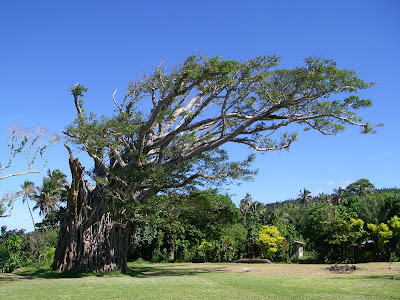 Mata'irea: May 12, 2008 - Anelghowhat Village, Aneityum/Anatom Island ...