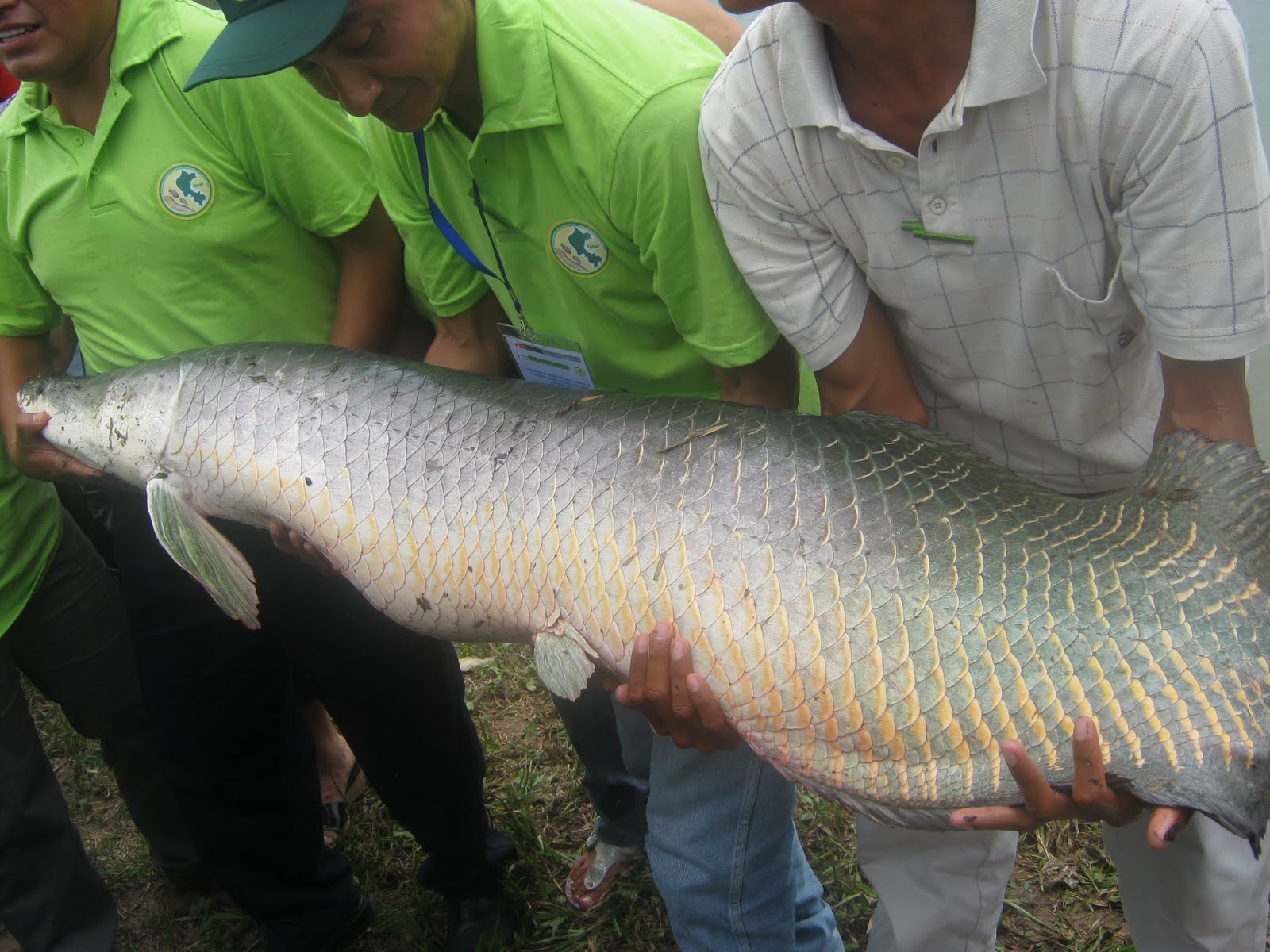 Fomentando Desarrollo: 28 sept. 2010