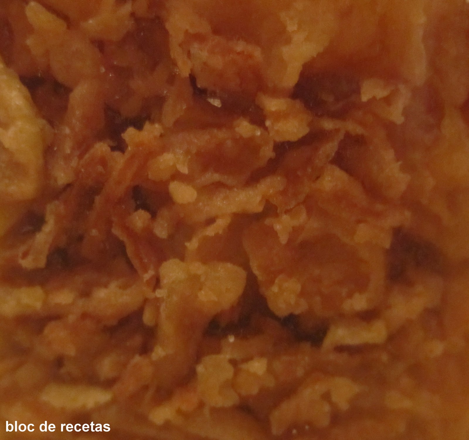 Bloc de recetas: Cebolla frita deshidratada