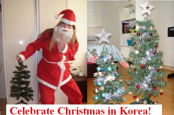 Buying a Christmas tree in Korea ~ Gone Seoul Searching