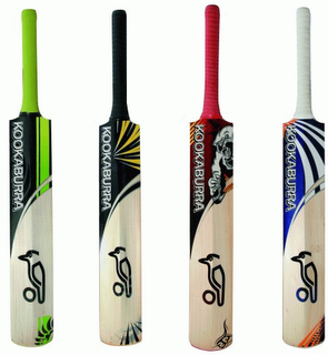 Design of a Cricket Bat: Designing a Cricket Bat