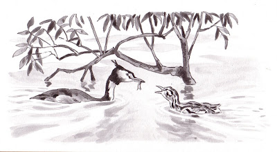 Wildlife with Pen and Brush: Pencil and Wash Drawings