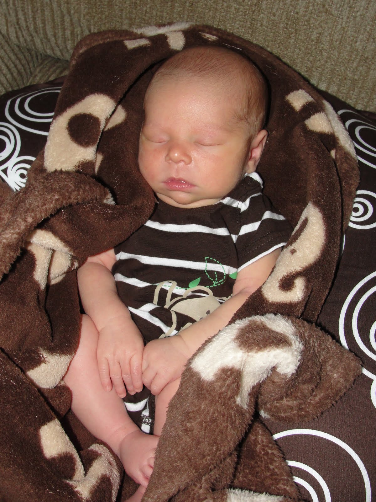 Our Life...: introducing.... Connar James Endres