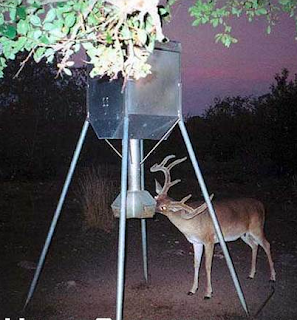 Jean Kazez: Animal Deception