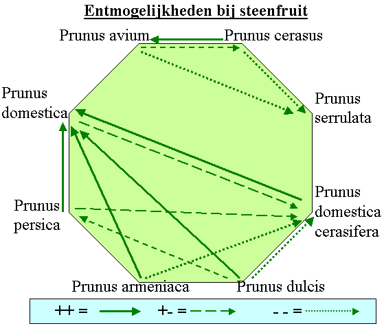 Inheems- en uitheems fruit: Verwantschap en familie bij het enten, een ...