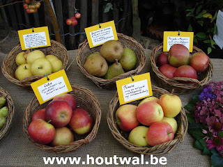Inheems- en uitheems fruit: Tuindagen te Beervelde: te bekijken appel ...