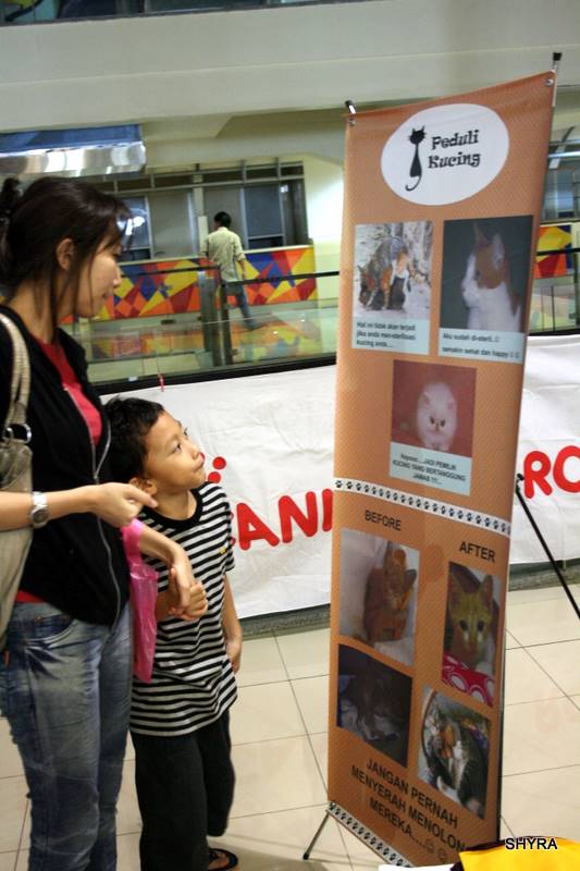 Peduli Kucing: Laporan Hasil Booth Peduli Kucing pada CFA International ...