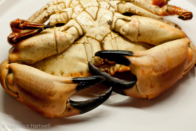 Through the Gaps! - Newlyn Fishing News: Saturday night - pan fried ...