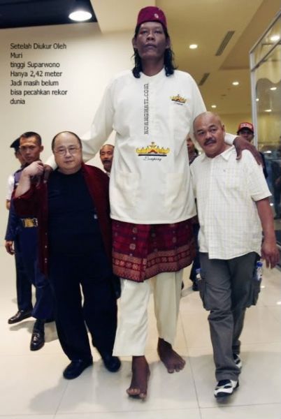 you can see: Manusia tertinggi di Indonesia