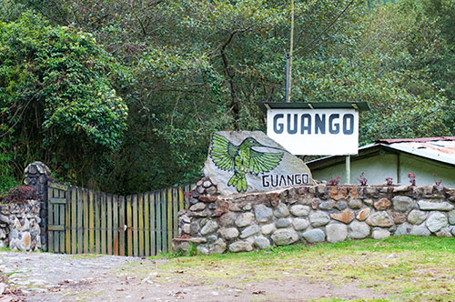 Discovering the Birds of Ecuador: Guango Lodge and Reserve