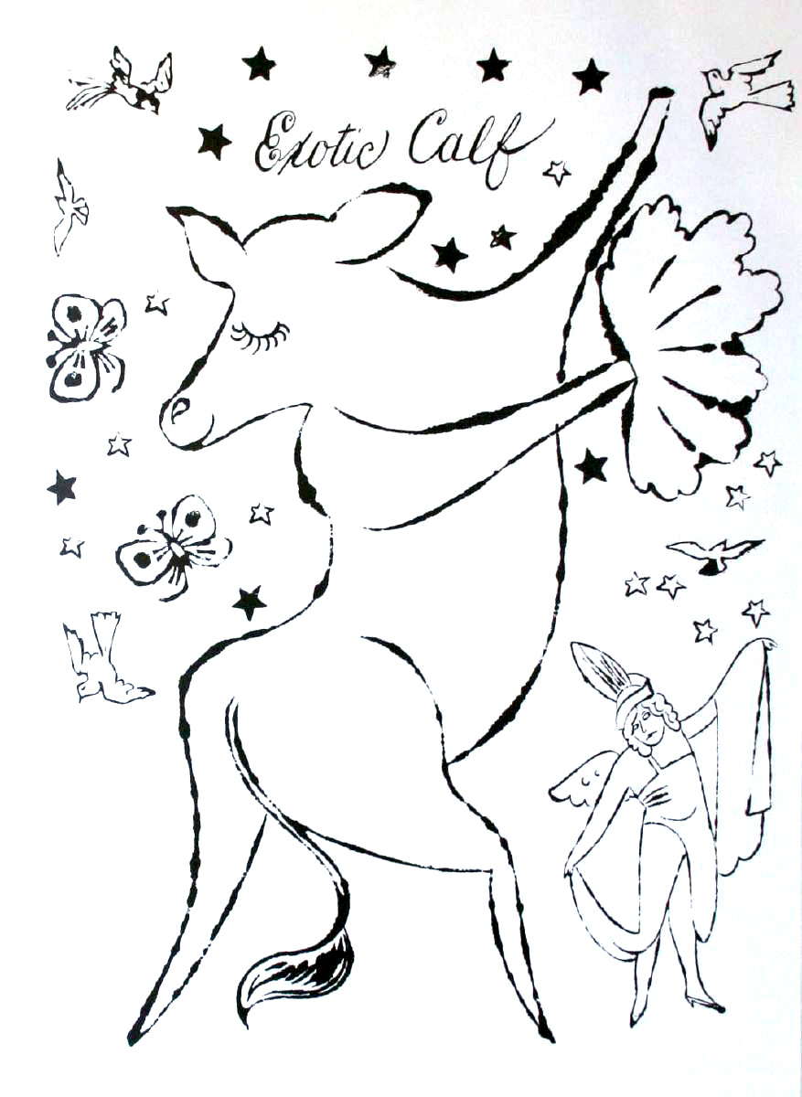 Animalarium: Coloring with Andy