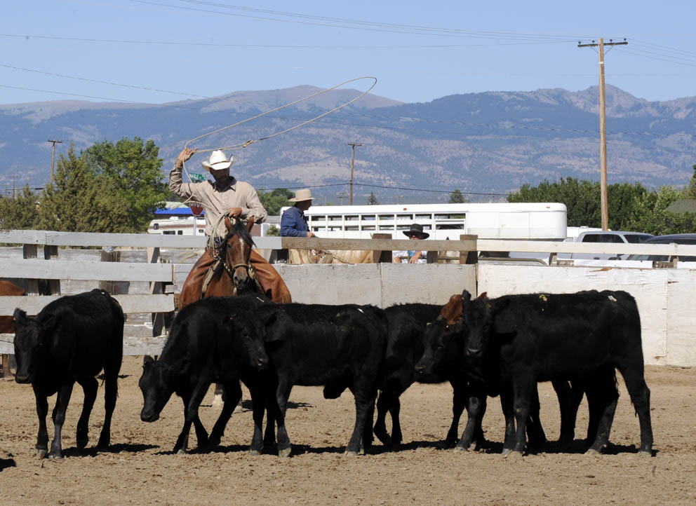 4Corners Ranch: Vaquero Fiesta