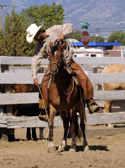 4Corners Ranch: Vaquero Fiesta