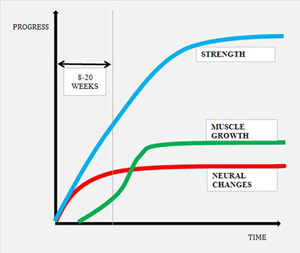 The Healthy Boy: How To Build Muscle