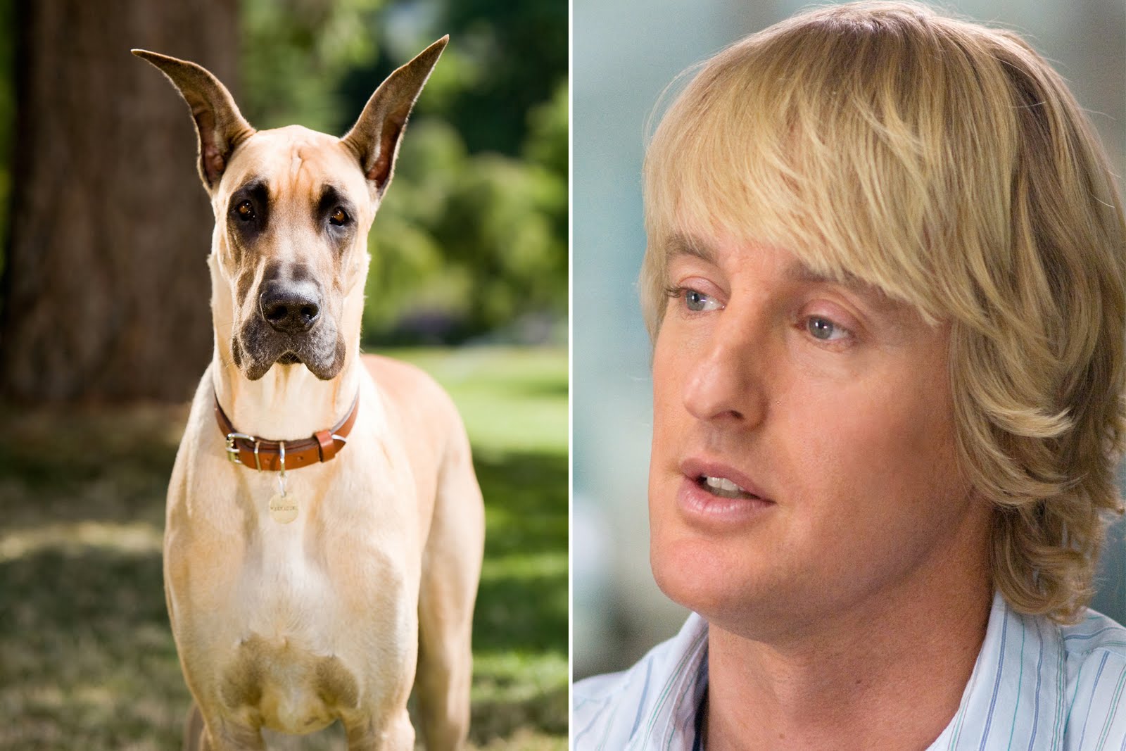 EG! Showbiz Style: 'Marmaduke' Unleashed