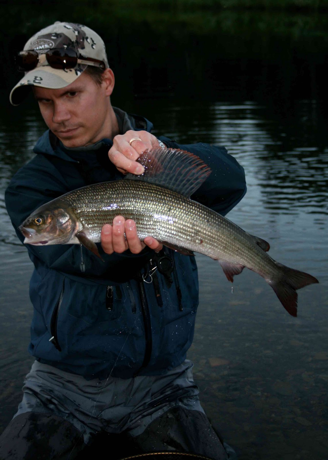 ..the world of FLYFISHING THROUGH JONI'S EYES: Unforgettable Grayling ...