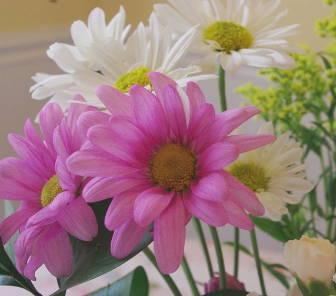 La Palabra Del Dia: "política" | SpanishDictionary.com Answers