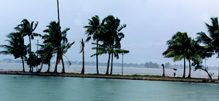 Discovering Kerala: Kuttanad