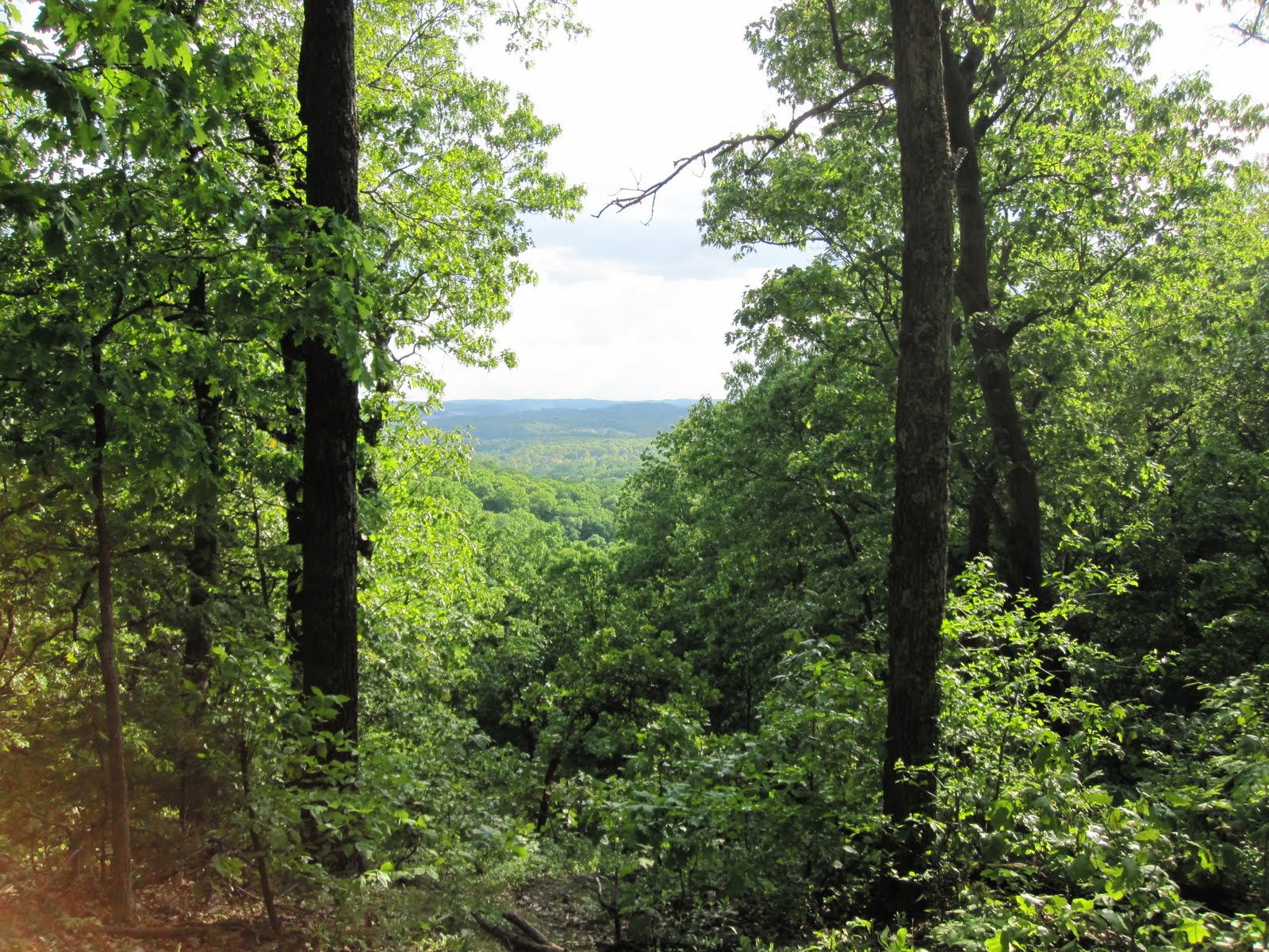 Trail Tester: Flint Quarry Trail