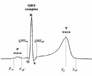 Biomedis Untuk Pemula: Elektrokardiogram (EKG)