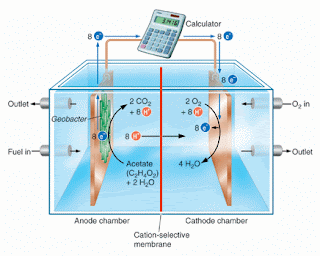 tecnologias alternas: Microbial Fuel Cells