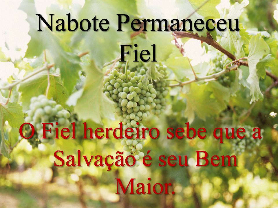 Transmitindo a Herança: Aula: A vinha de Nabote