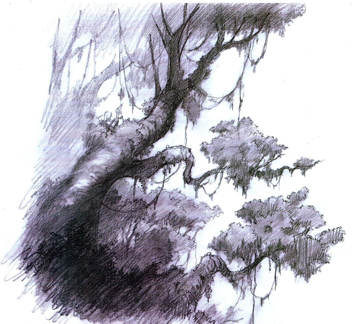 Andrew Wolf's Portfolio