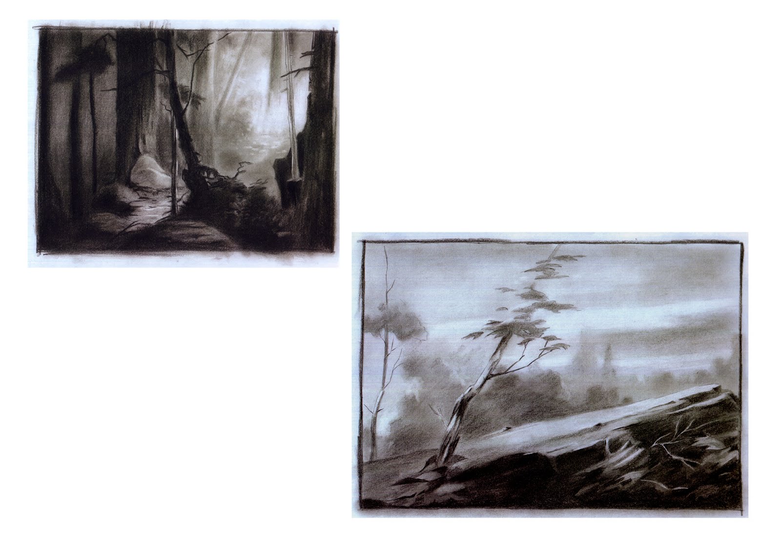 Andrew Wolf's Portfolio