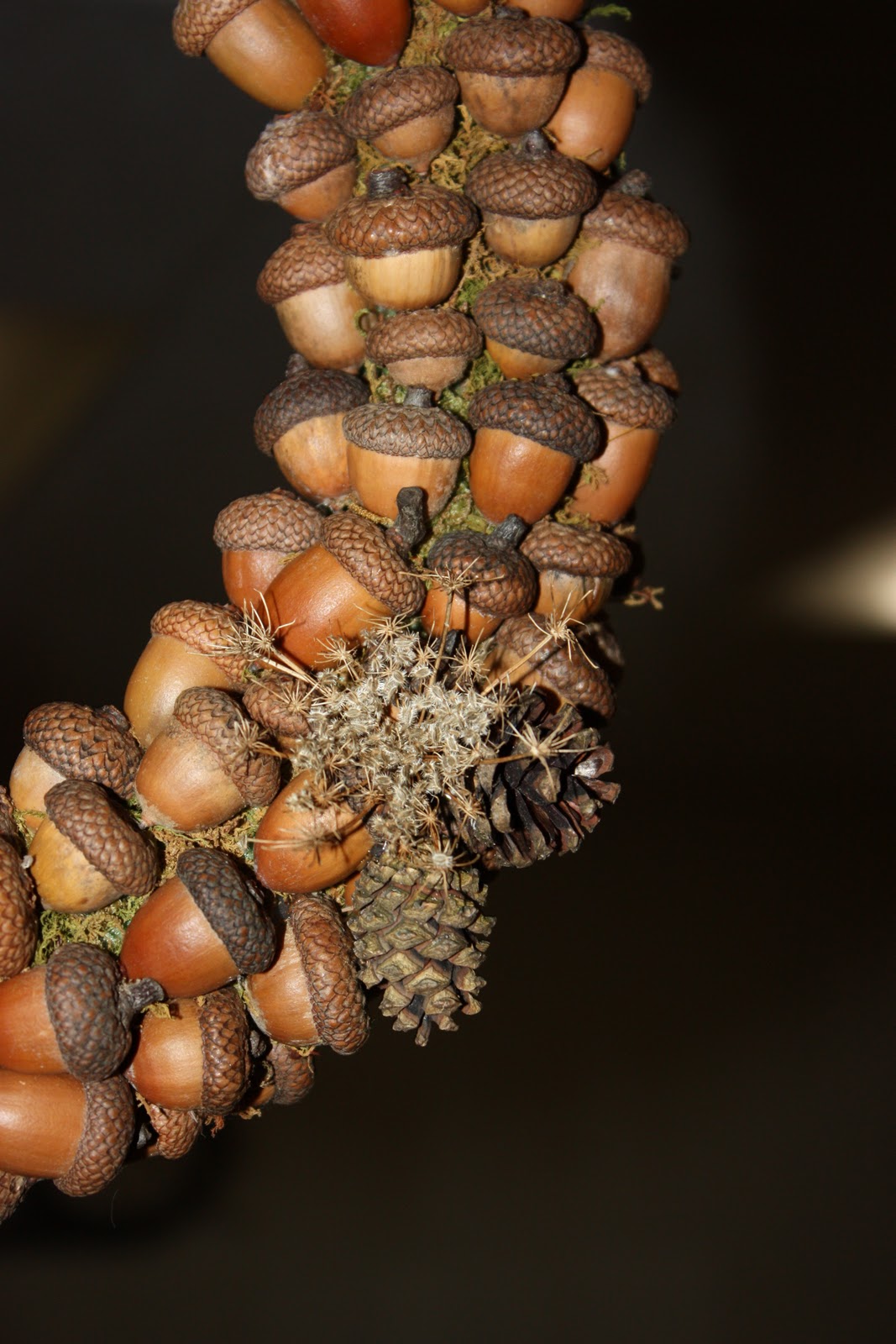 Juise: Acorn Wreath Tutorial