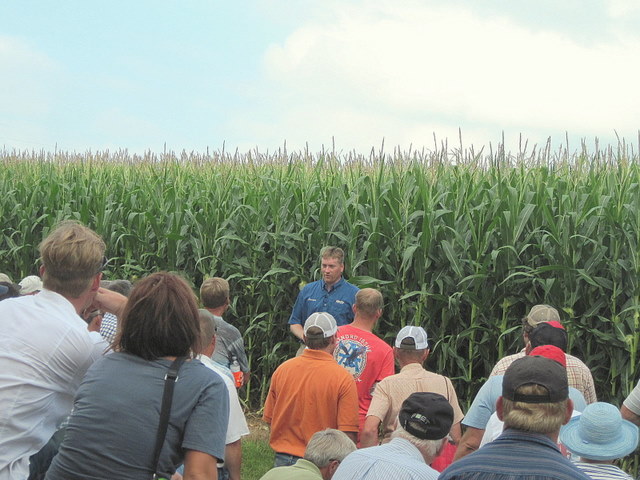 Land of LIQUID: LIQUID Shows At Hefty's Field Day
