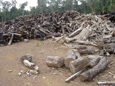 Deforestación En Honduras: Imagenes Principales